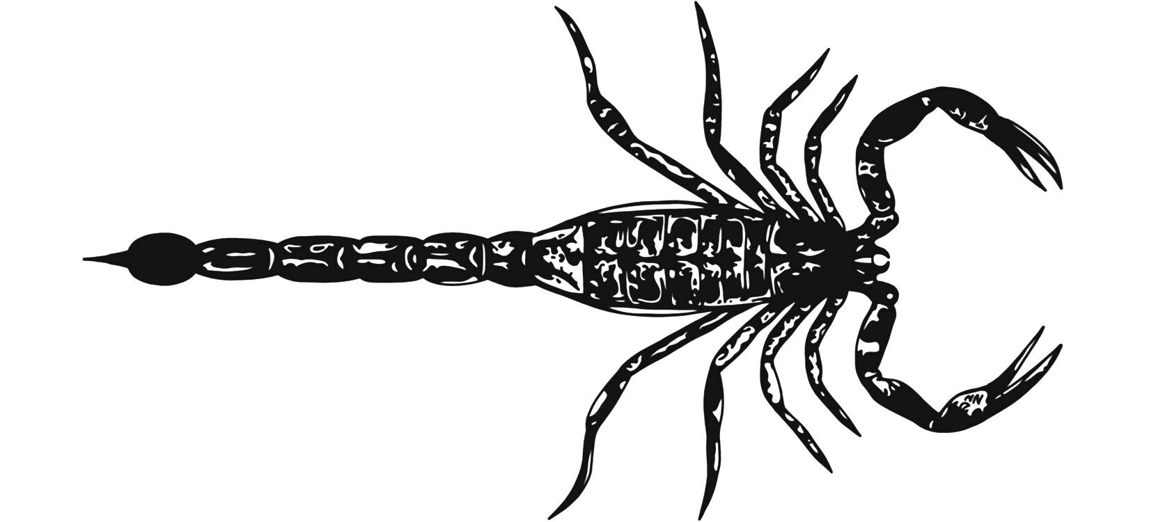 Danger Bite - INK DROPS